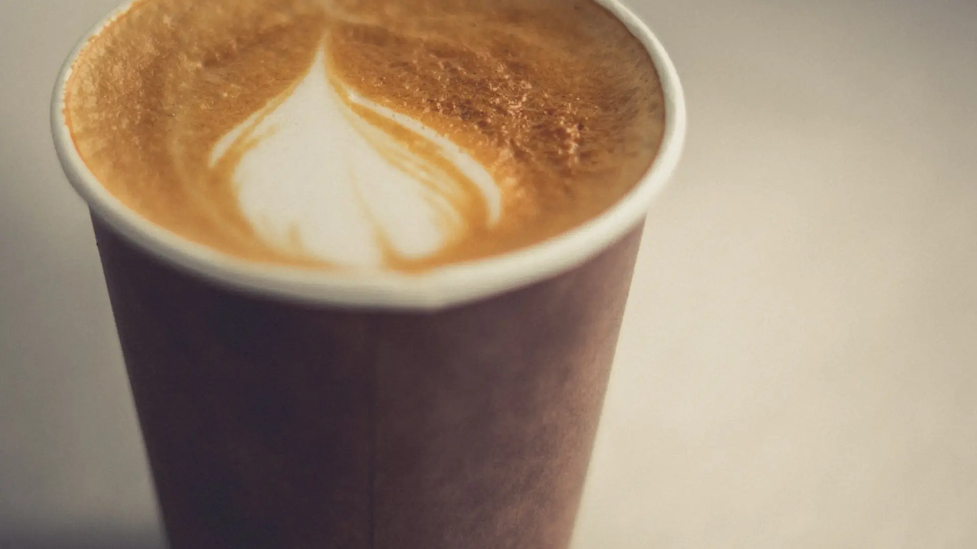 Compostable Coffee Cups for Vendors | The Big Coffee